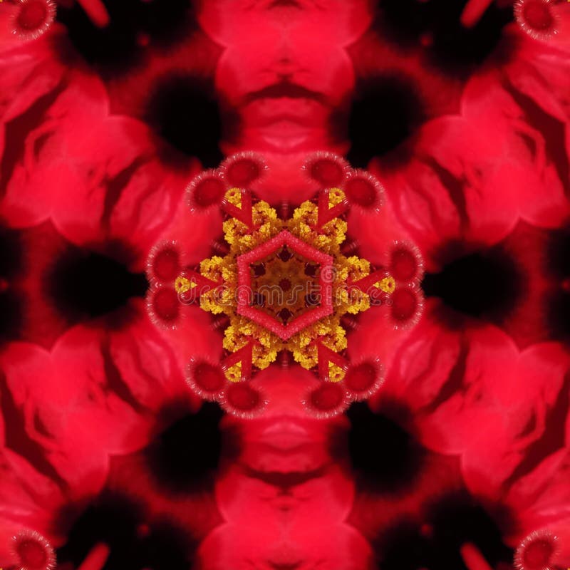 Abstract Hexagonal Repeating Square Format Pattern and Design As Floral ...