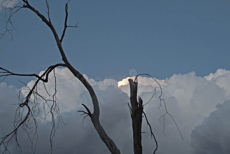 Bright edge of cloud stock photo. Image of vertical, edge - 21699430