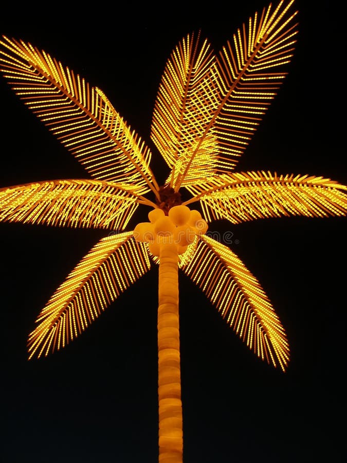 Bright Electric Palm Tree stock photo. Image of leaves - 1832378