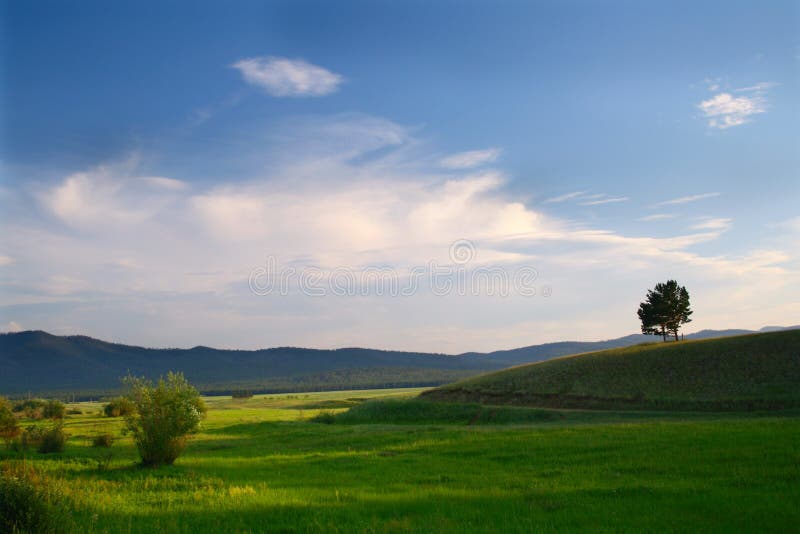 Bright evening stock photo. Image of light, yellow, beautiful - 3549410