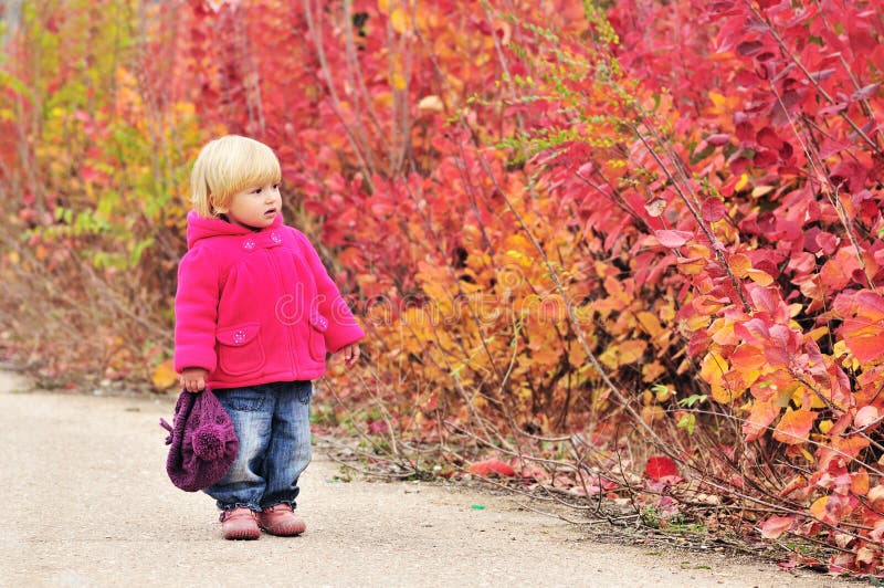 Bright fall stock photo. Image of beautiful, fall, park - 27714100