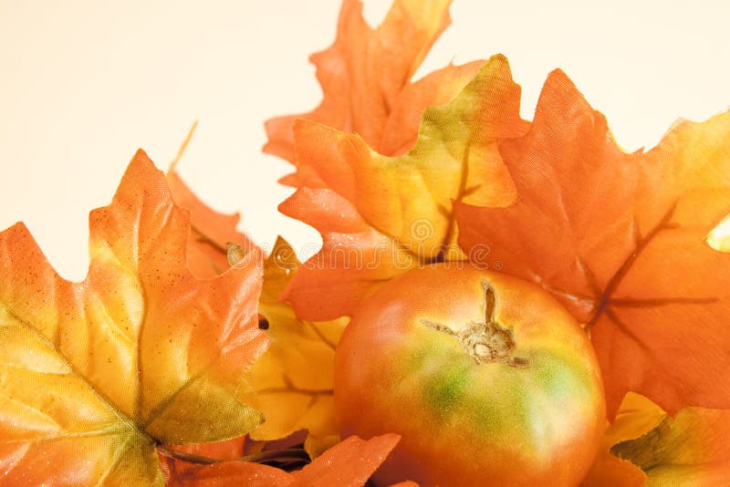 Bright Fall Leaves and Tomato Stock Photo - Image of tomato, leaves ...