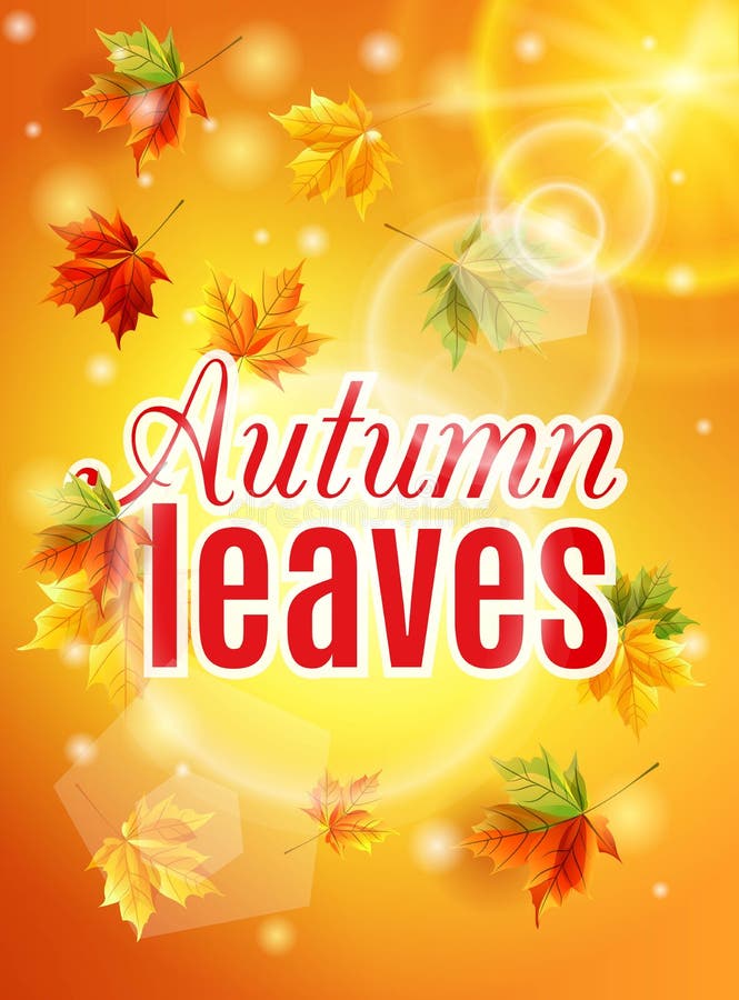Bright Fall Poster with Warm Sunshine, Autumn Maple Leaves, the Effect ...