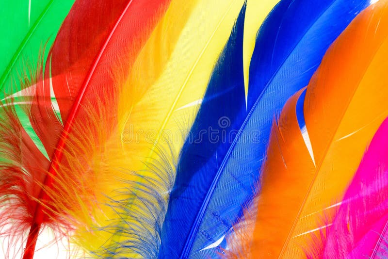 Bright feathers background stock image. Image of nature - 80587081