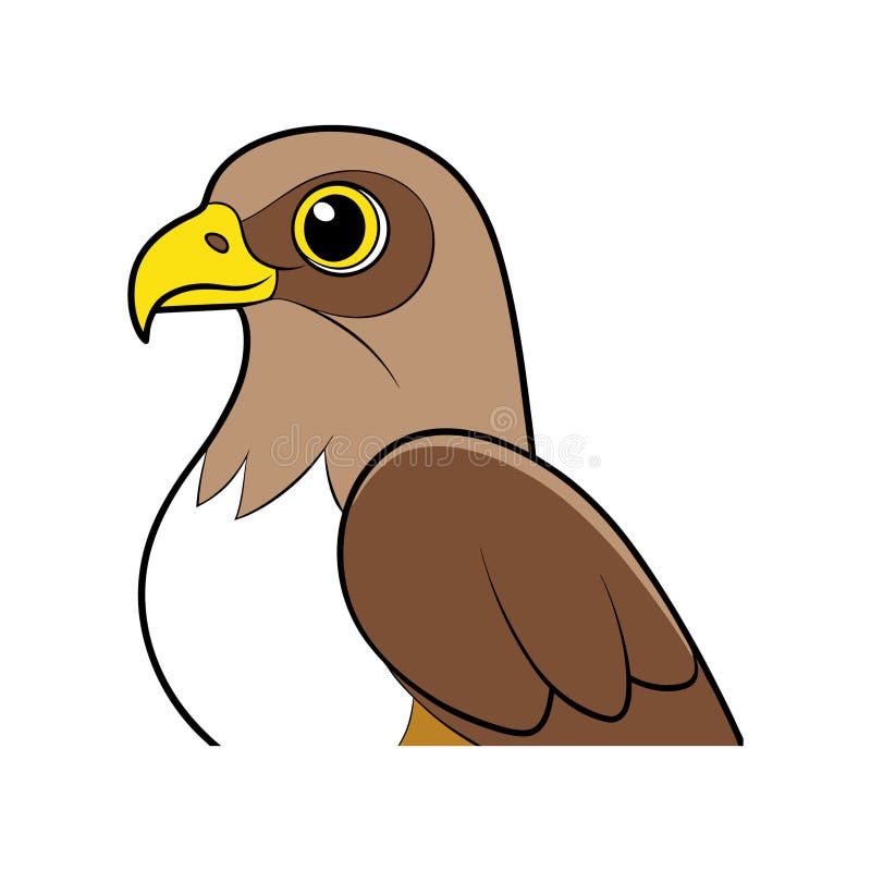 Bright Ferruginous Hawk Bird Artwork Stock Illustration - Illustration ...