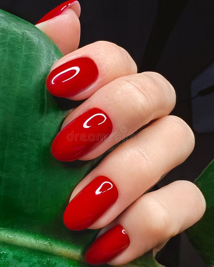 Bright Festive Red Manicure on Female Hands. Nails Design Stock Photo ...