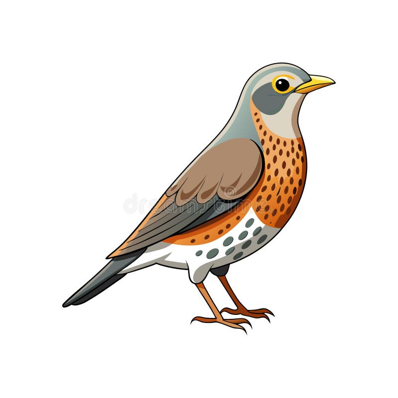 Bright Fieldfare Bird Artwork Stock Illustration - Illustration of wing ...