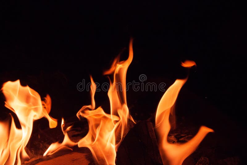 Bright Fire on a Black Background at Night Stock Image - Image of ...