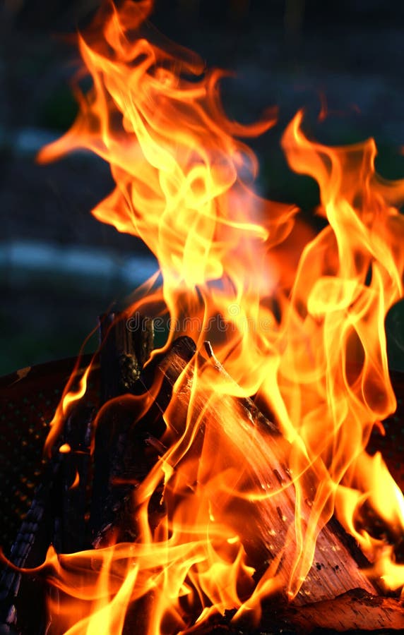 Bright Fire on Burning Wood Stock Photo - Image of ashes, glow: 116899682