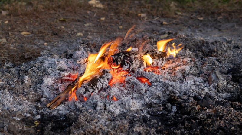 The Bright Fire of a Campfire Burning Down in the Night Stock Photo ...