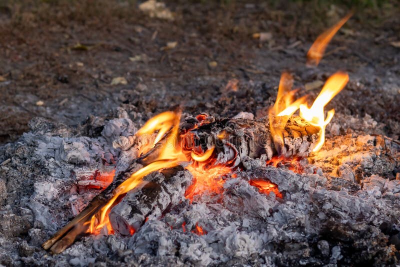 The Bright Fire of a Campfire Burning Down in the Night Stock Photo ...
