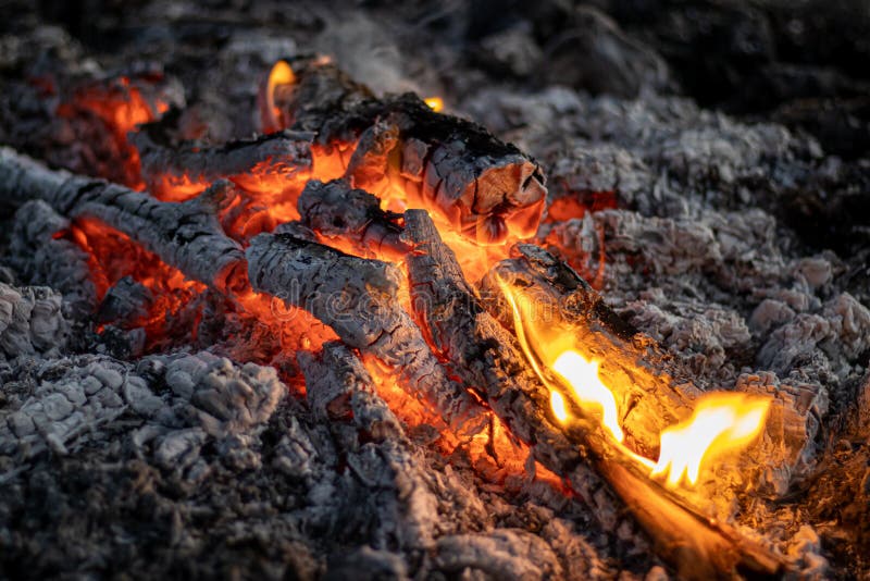 The Bright Fire of a Campfire Burning Down in the Night Stock Image ...