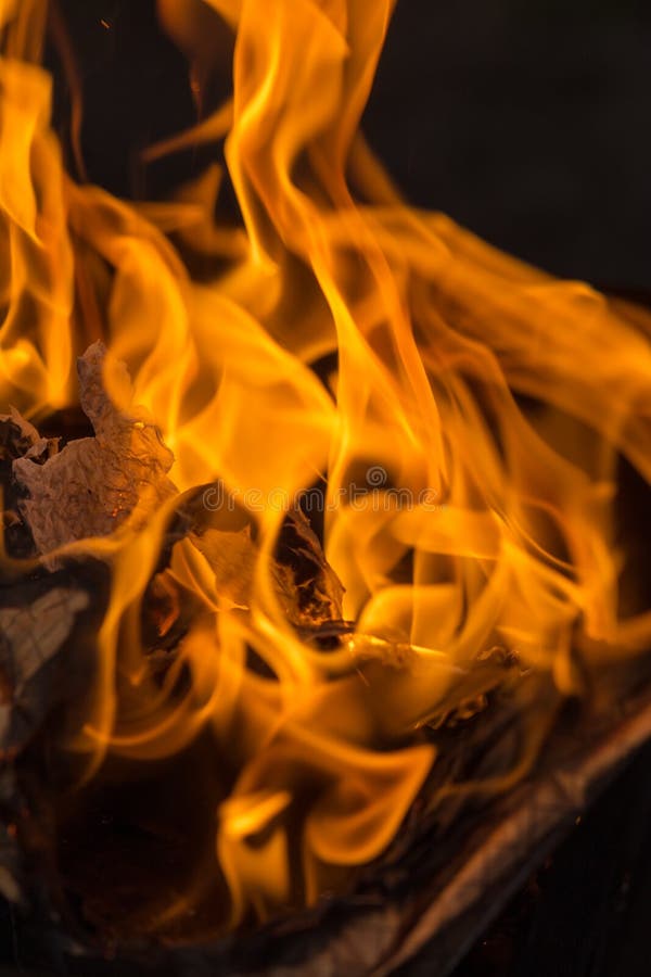 Bright fire closeup stock photo. Image of burning, firewood - 120522610