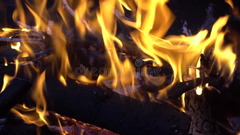 Bright Fire Flame from Burning Firewood Stock Video - Video of campfire ...