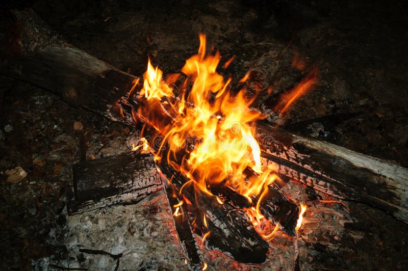 Bright Fire Flame in the Dark Forest Stock Image - Image of burn ...
