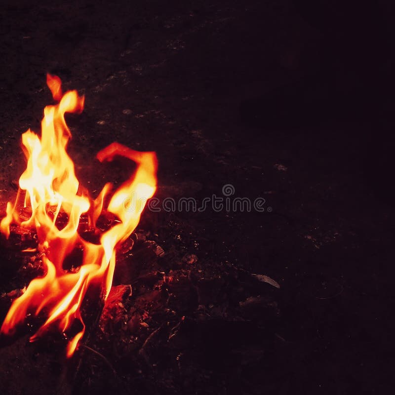 Bright Fire Flames Black Backround Stock Image - Image of burning ...