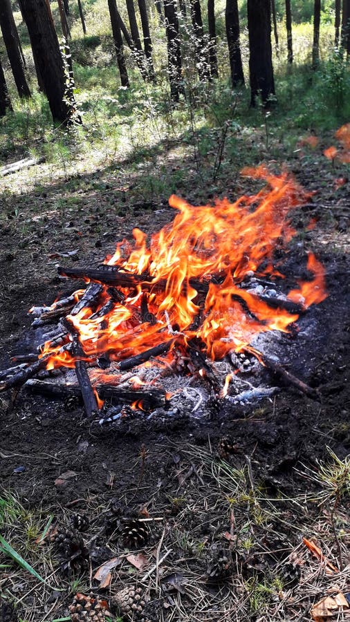 Bright large fire in camp. stock photo. Image of camp - 193017594