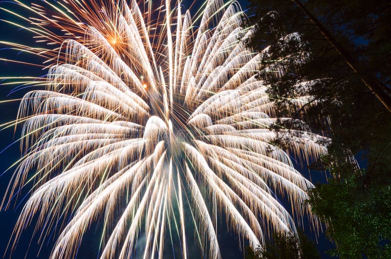Bright Fireworks Against the Dark Blue Sky and Trees Stock Image ...