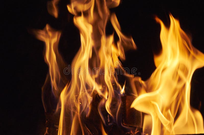 Bright Flame of a Bonfire in the Dark. Fire in the Dark Stock Photo ...