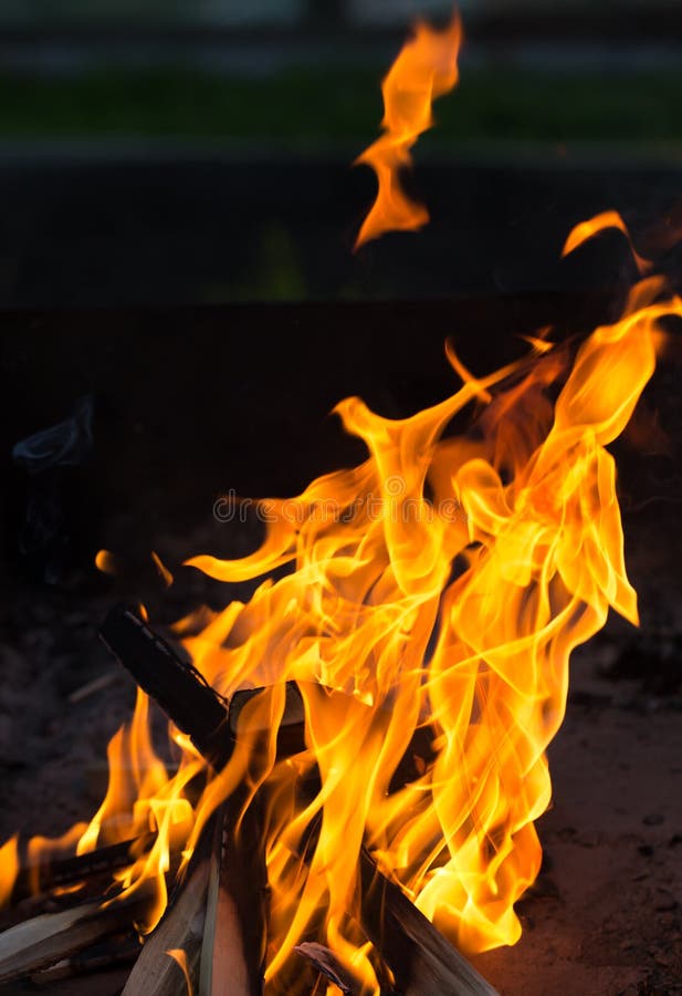 Bright Flame of Bonfire. Defocused Stock Photo - Image of burn, dark ...