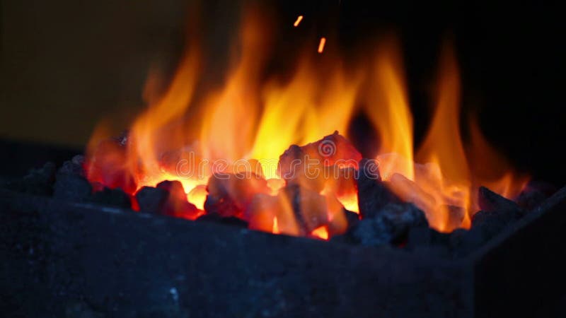 A Fire Burns Wood in the Garden Stock Video - Video of garden, bonfire ...