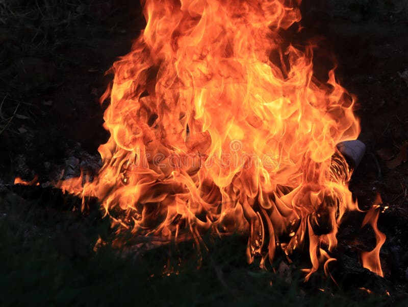 Bright Flame of Wildfire Fire Stock Photo - Image of area, ecology ...