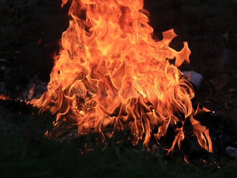 Bright Flame of Wildfire Fire Stock Image - Image of emergency, destroy ...
