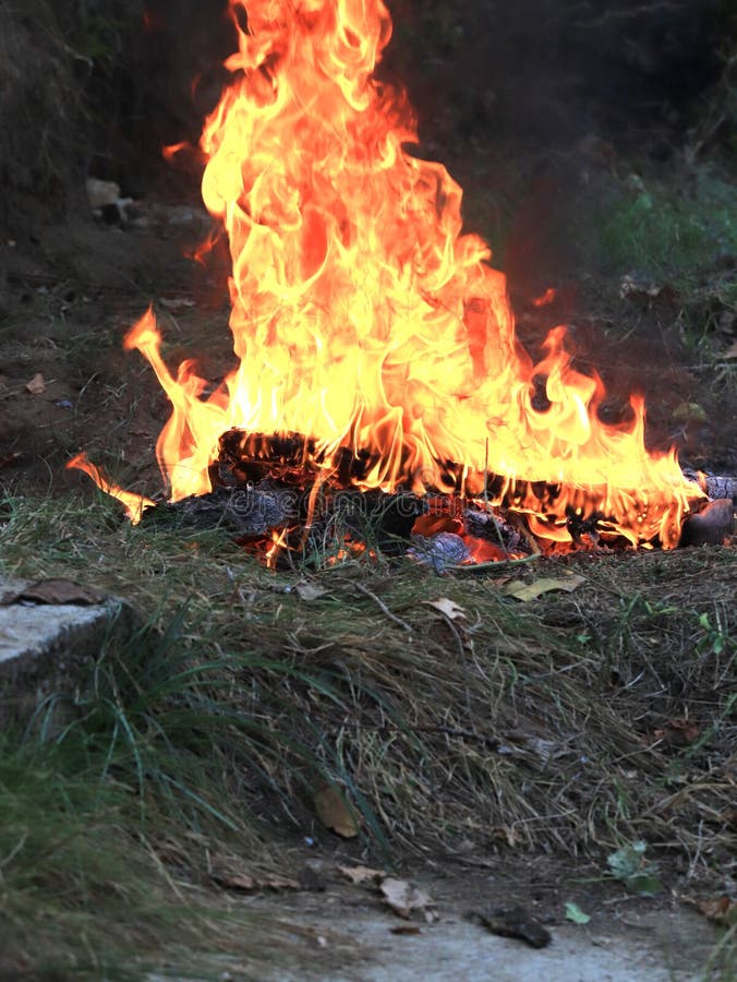 Bright Flame of Wildfire Fire Stock Image - Image of emergency ...