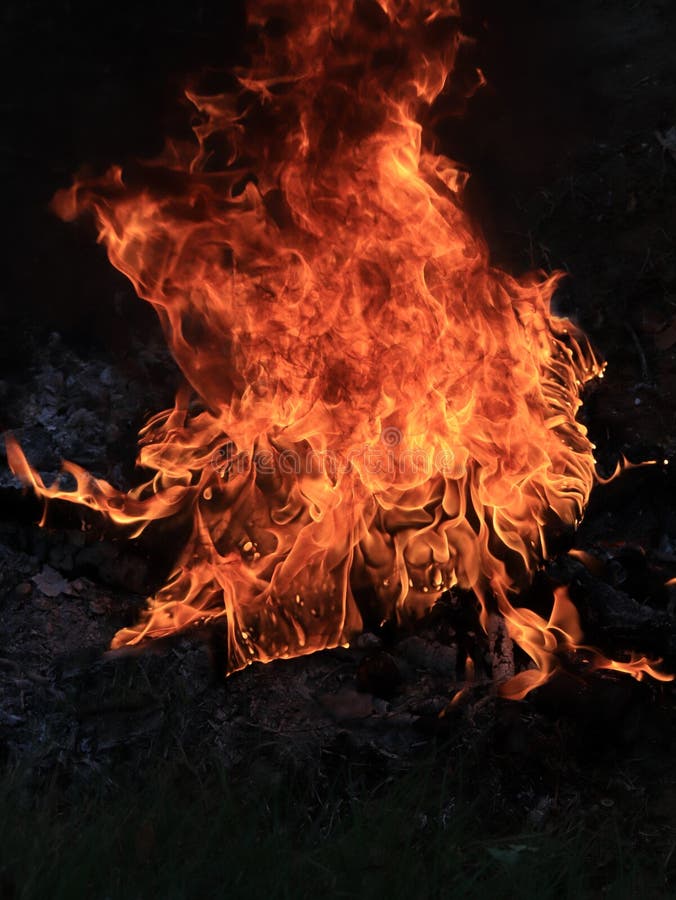 Bright Flame of Wildfire Fire Stock Photo - Image of dark, color: 128211366