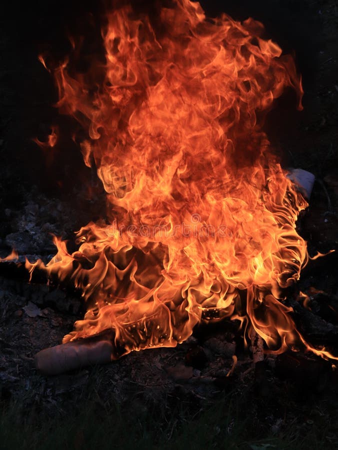 Bright Flame of Wildfire Fire Stock Photo - Image of ground, bush ...