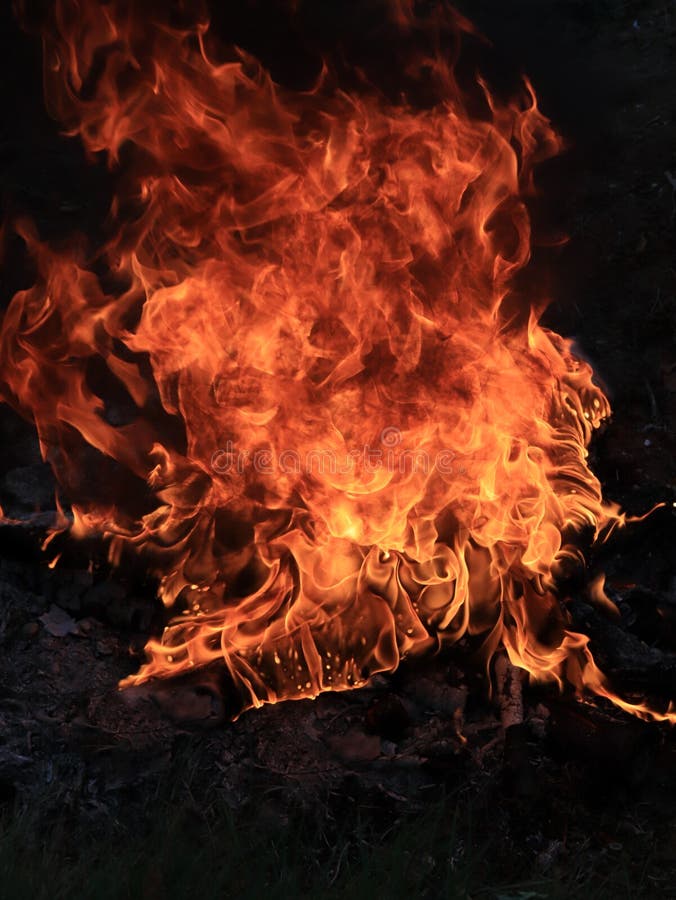 Bright Flame of Wildfire Fire Stock Image - Image of apocalypse, ground ...
