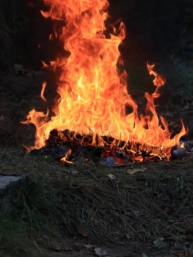 Bright Flame of Wildfire Fire Stock Image - Image of area, destruction ...