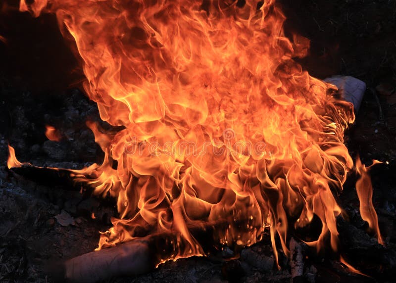 Bright Flame of Wildfire Fire Stock Image - Image of bush, danger ...