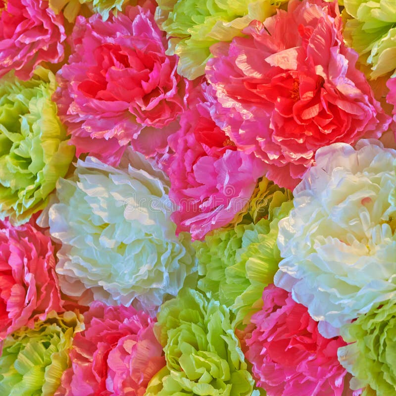 Bright Color Floral Background Stock Illustration - Illustration of ...