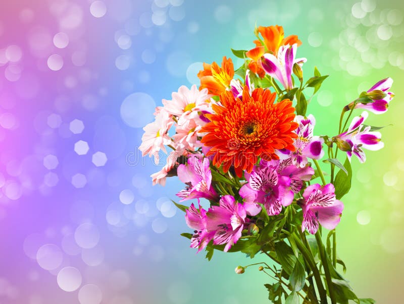Bright flower bouquet stock image. Image of blossom, bouquet - 21366941