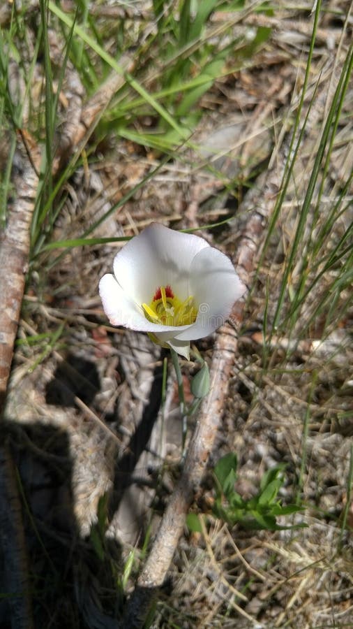 204 Mundane Background Photos - Free & Royalty-Free Stock Photos from ...