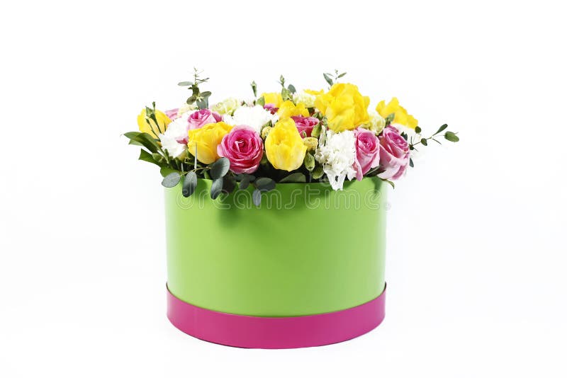 Bright Flowers in Round Box Isolated Stock Image - Image of closeup ...