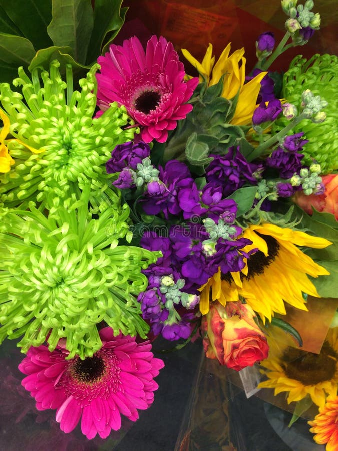 Bright Flowers stock photo. Image of flowers, spring - 70895470