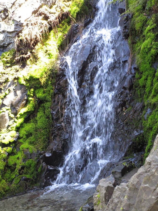 Bright Flowing Waterfall Landscape at Queen Elizabeth Park Garden, 2018 ...