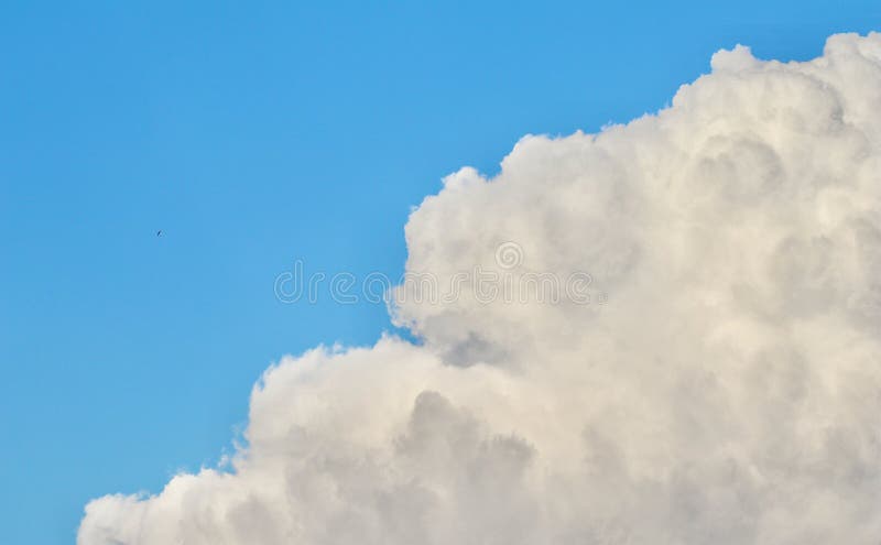 Strong Diagonal Division Stock Photos - Free & Royalty-Free Stock Photos from Dreamstime