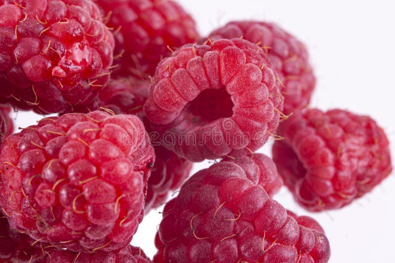 Bright Fresh Raspberry Isolated Stock Image - Image of organic, closeup ...