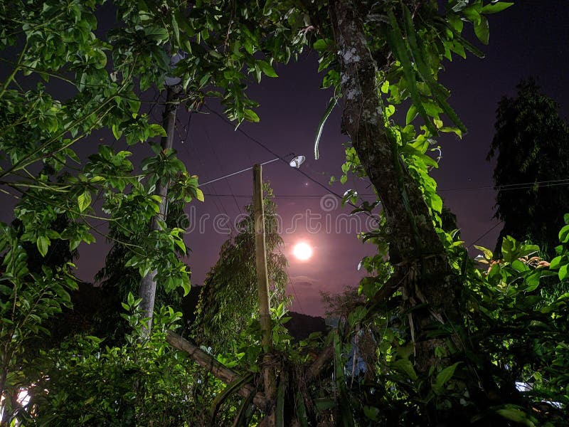 The Bright Full Moon without Any Clouds Stock Image - Image of night ...