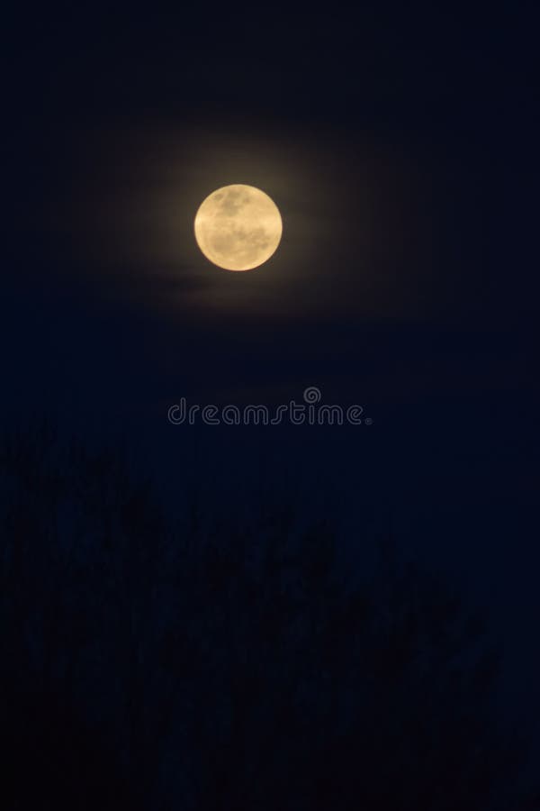 Bright Full Moon on the Sky during Nighttime Stock Image - Image of ...