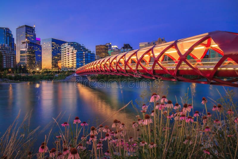 Peace Bridge Glowing Bright at Night Editorial Stock Image - Image of ...