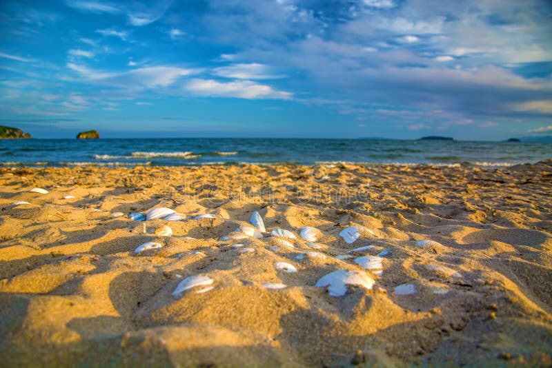 Bright Golden Sunset on the Beach, the Waves on the Sand, Shells. Stock ...