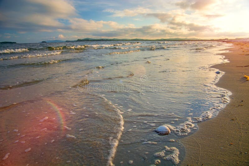Bright Golden Sunset on the Beach, the Waves on the Sand, Shells. Stock ...