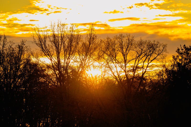 Bright Golden Sunset Shining in the Sky Over the Forest and the ...