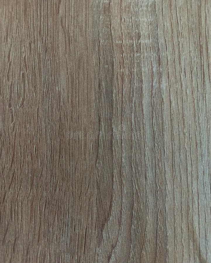 Bright Good Wood Texture stock photo. Image of bright - 231342756