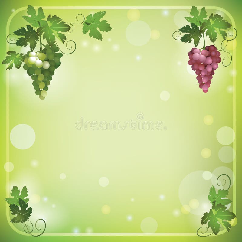 Bright Green Background with Grapes - Vector Stock Vector ...