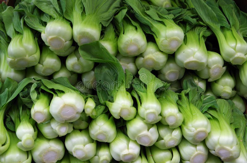 Bright Green Bok Choy Stacked Ends Stock Image - Image of china, green ...